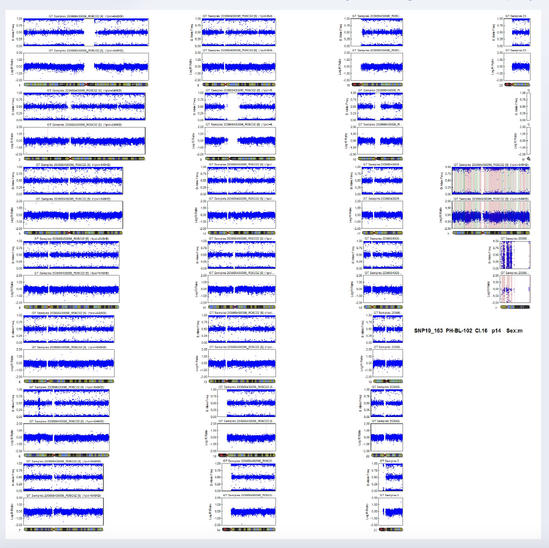 LBi006-A · Cell Line · hPSCreg
